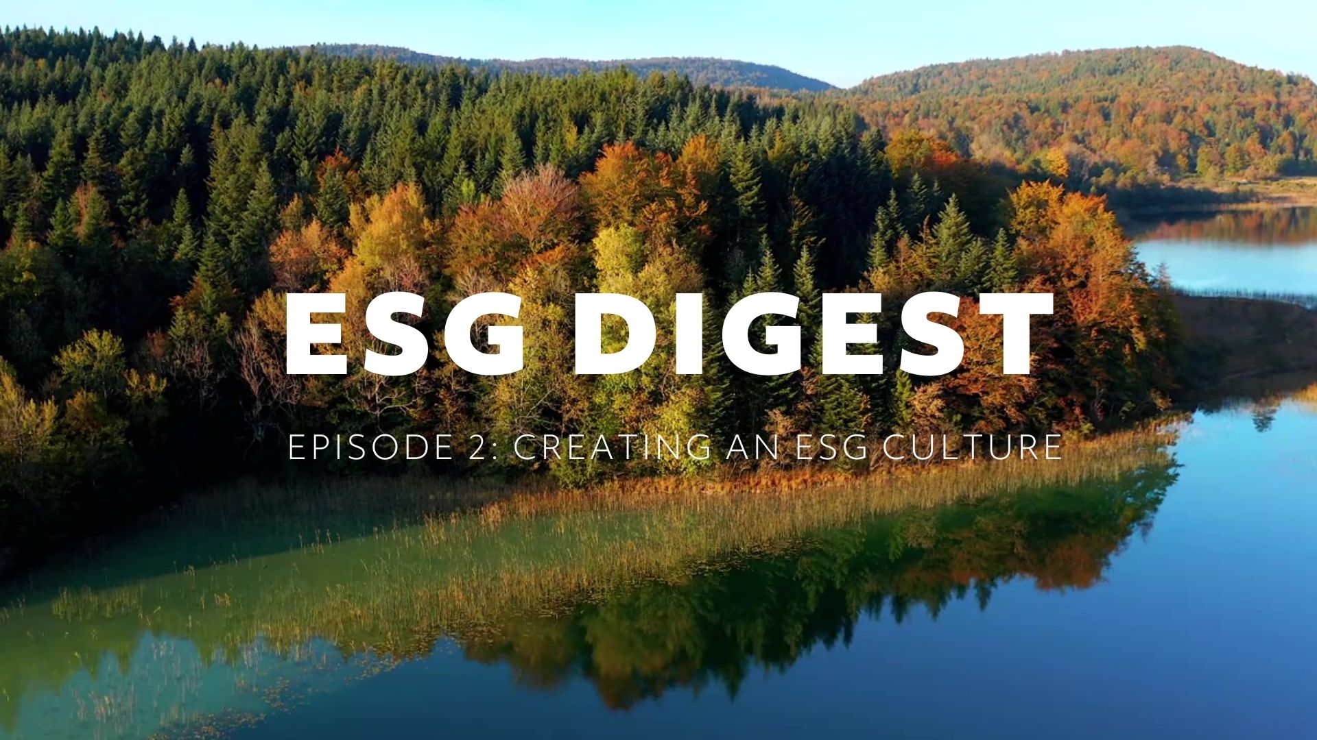 ESG DIGEST | EPISODE 2: CREATING AN ESG CULTURE IN YOUR BUSINESS