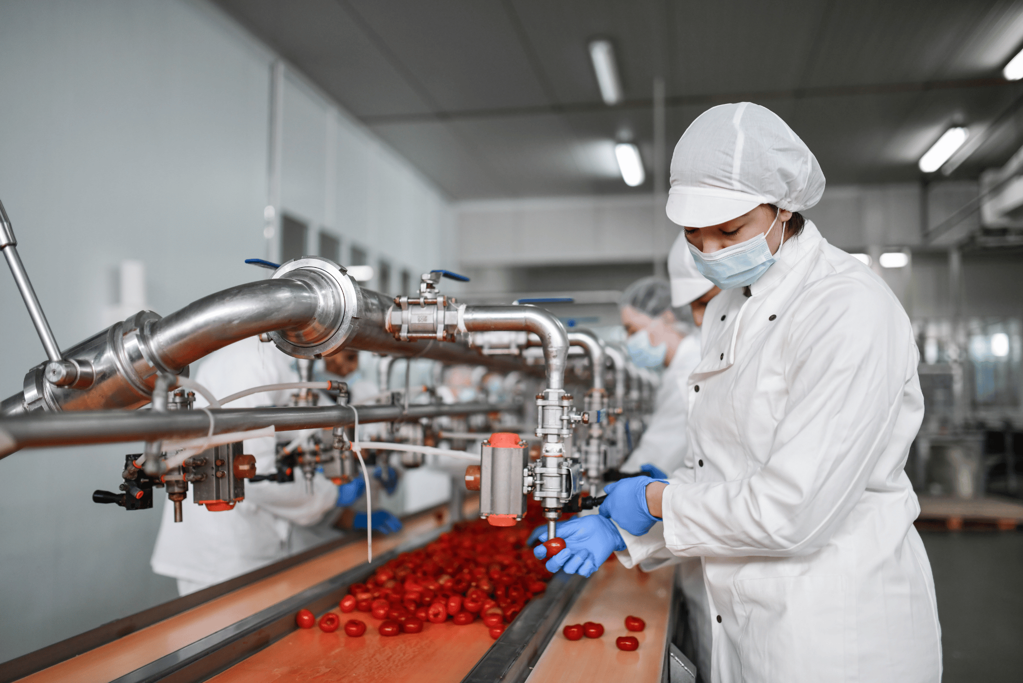 PPE for Food Manufacturing: Legal Requirements | SMI